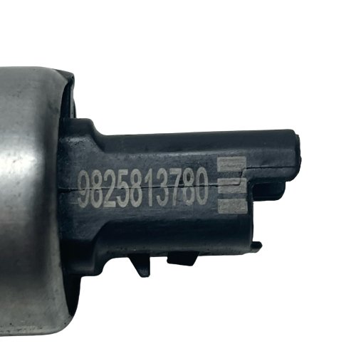 Peugeot/Citroen 1.6L Camshaft Solenoid Sensor 9825813780